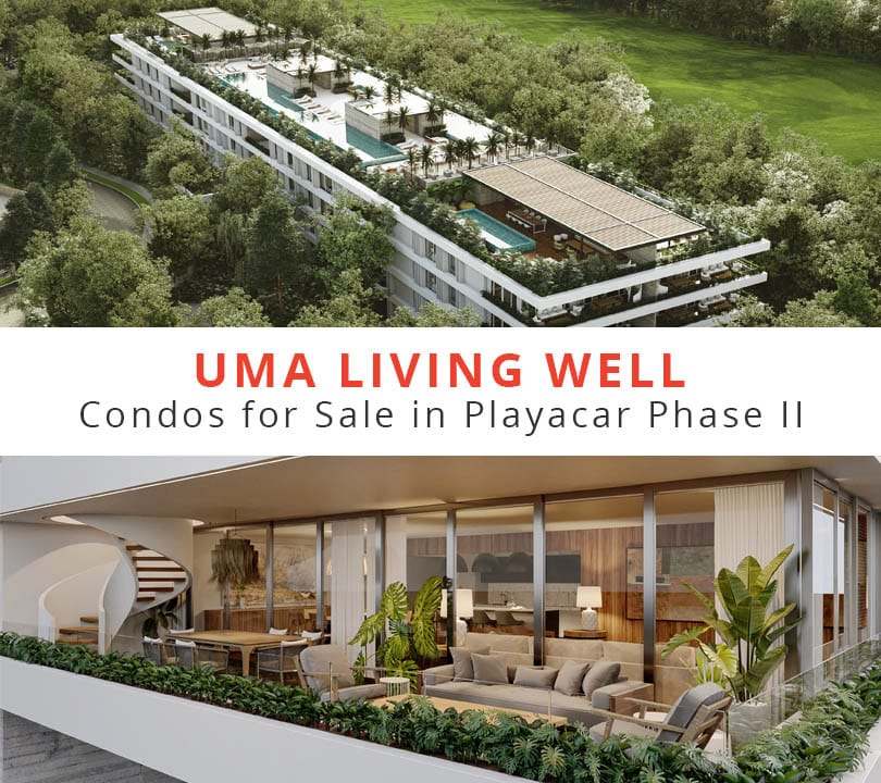 Search - Riviera Maya Real Estate Group